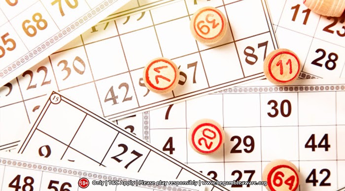 Ever Wondered The History Behind Bingo Numbers 